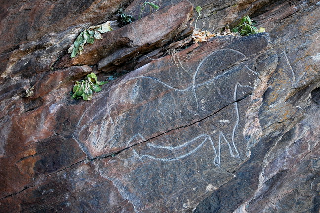 GRAVURAS RUPESTRES DO MAZOUCO